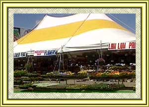 Flower Tent Franchise for Sale on BizQuest