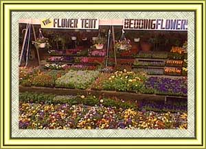 Flower Tent Franchise for Sale on BizQuest