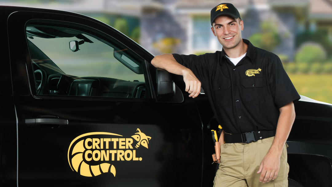 Critter Control Franchise for Sale on BizQuest