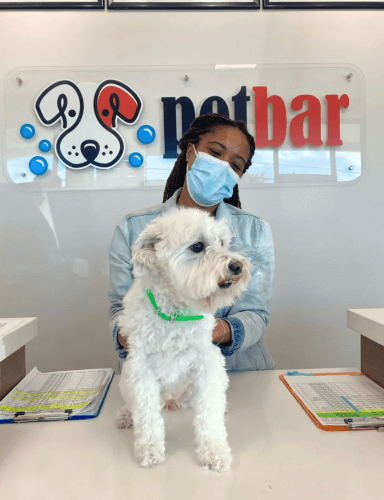 PetBar Franchise for Sale on BizQuest