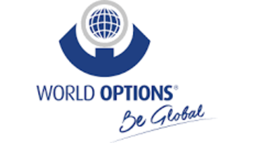 World Options Franchise for Sale on BizQuest