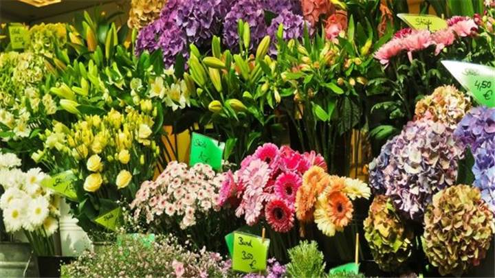 Olympia Flowers Miami | Best Flower Site