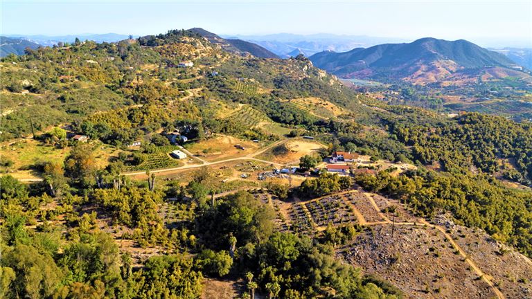 100 Acre Avocado and Residential Estate Sale | Rainbow CA | For Sale in ...