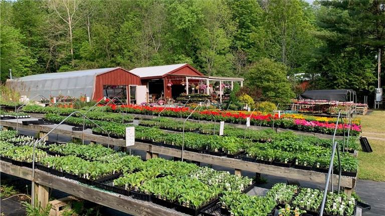 Plants & Stuff Garden Center | For Sale in Warsaw, New York | BizQuest.com